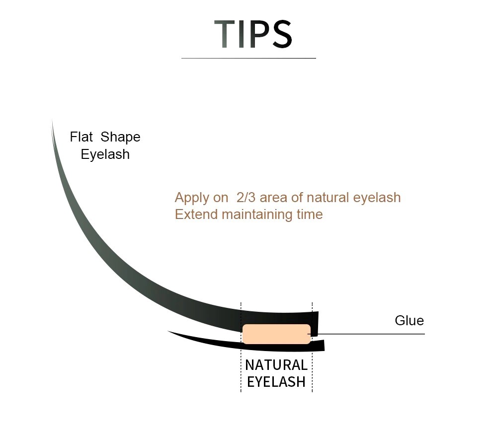 Premium Ellipse Lash - Momi Eyelash